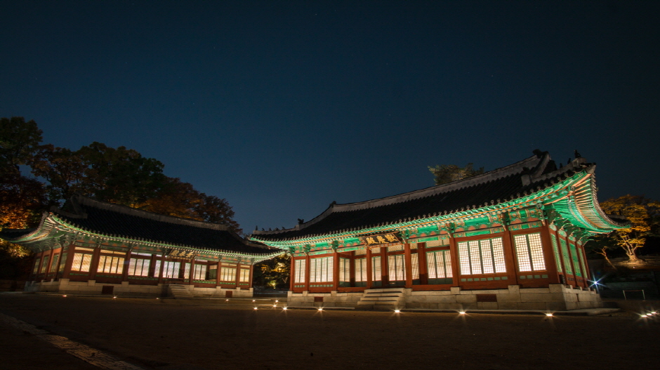 [Seoul] Changgyeonggung palace night view tour with Guide - Seoul PASS