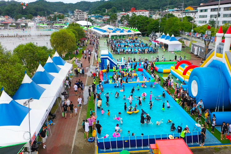 [Gyeongsangbuk-do] Bonghwa Sweetfish Festival from Seoul - Seoul PASS