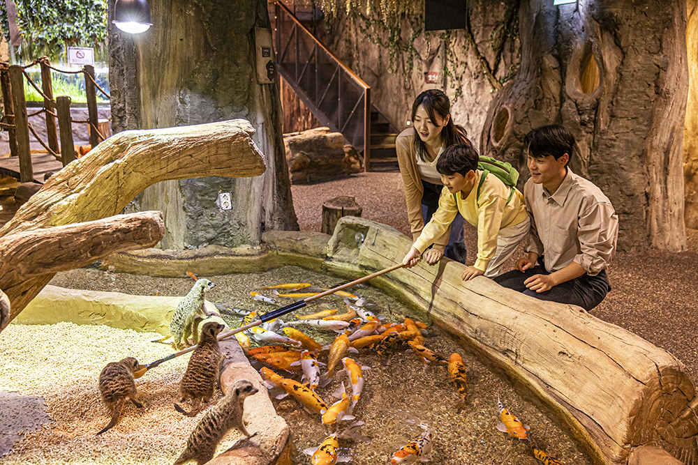 [Gyeonggi Hanam] Zoolung Zoolung Indoor Animal Theme Park Hanam Branch ...