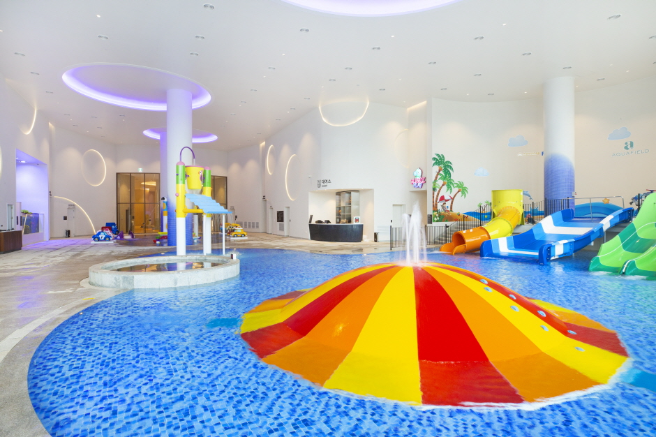 [Gyeonggi Anseong] AQUAFIELD Jimjil Spa & Rooftop Pool Discount Ticket ...