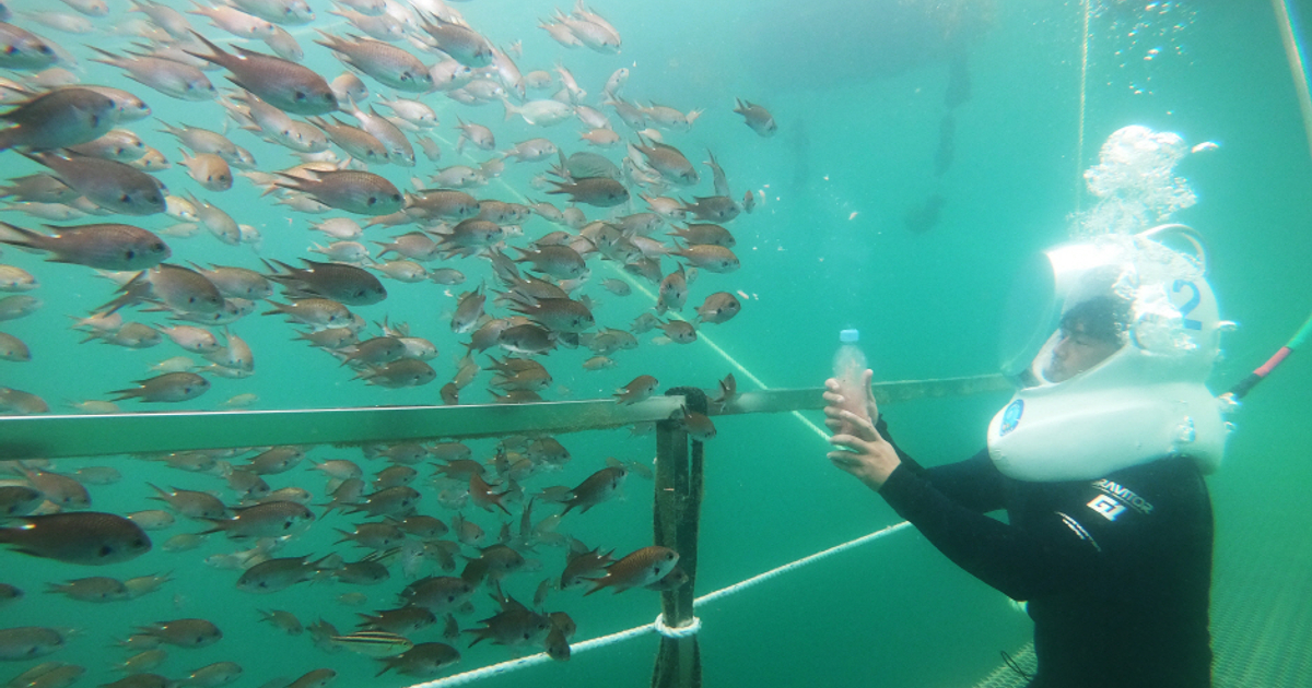 [Jeju] A unique experience of enjoying the sea, Sea Walker - Seoul PASS