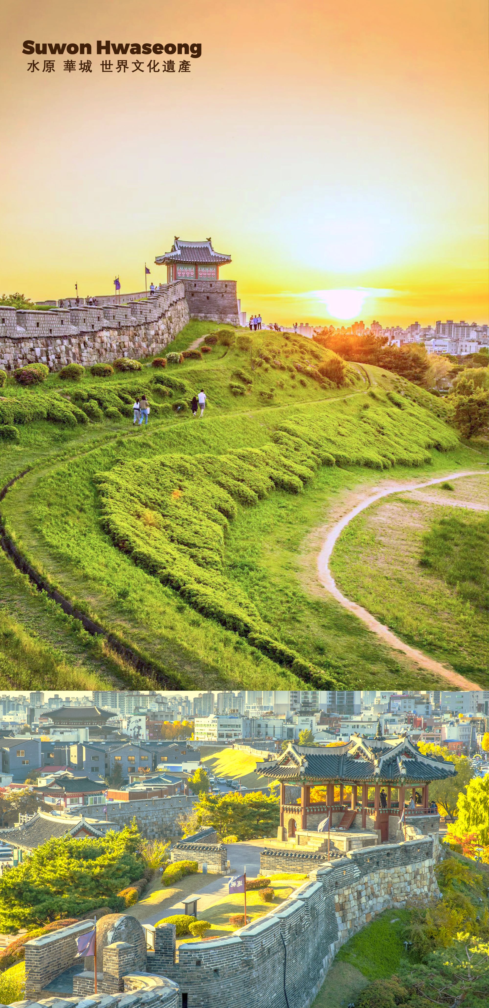 [Suwon] Cherry Blossom Suwon Hwaseong Fortress Tour from Seoul - Seoul PASS