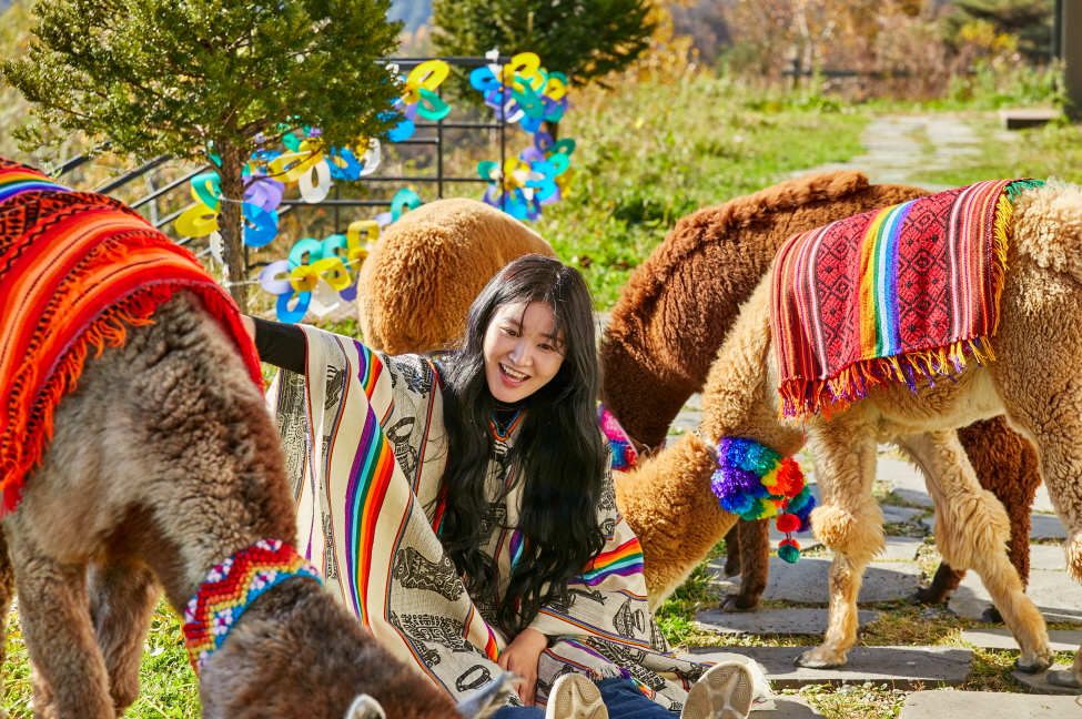 [Alpaca World] Alpaca World Admission Ticket - Seoul PASS
