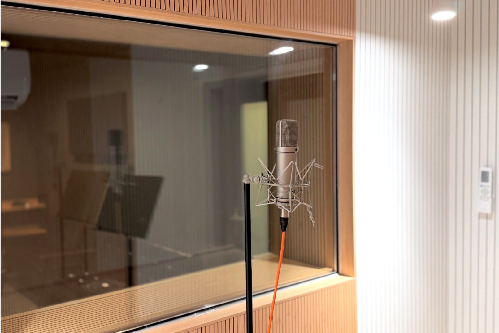 [Seoul] Recording Your Favorite KPOP Songs with Your Own Voice - Seoul PASS