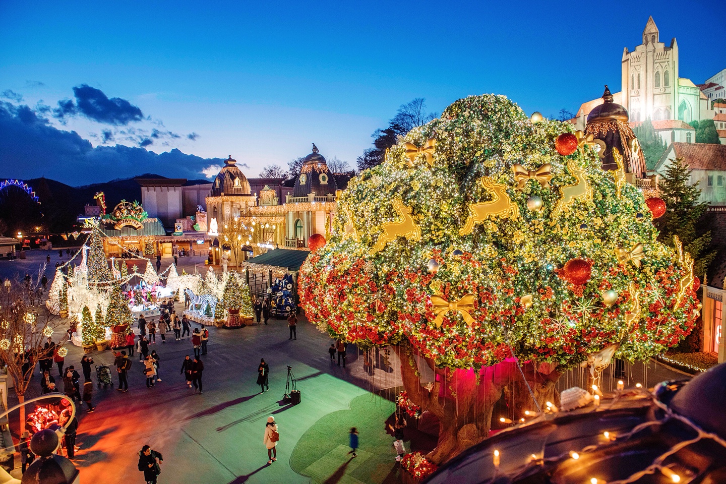 [Everland] Everland Discount Day Pass Ticket (Foreigners ONLY ...